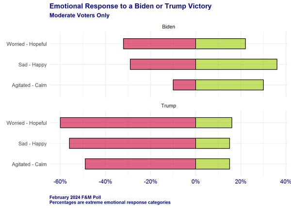 Voters' Emotions and the 2024 Presidential Election
